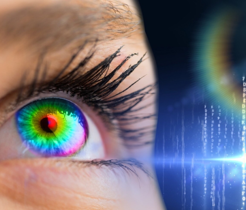 Digital Ray-Path® 2 – Phlox Pro – Business 2 Demo